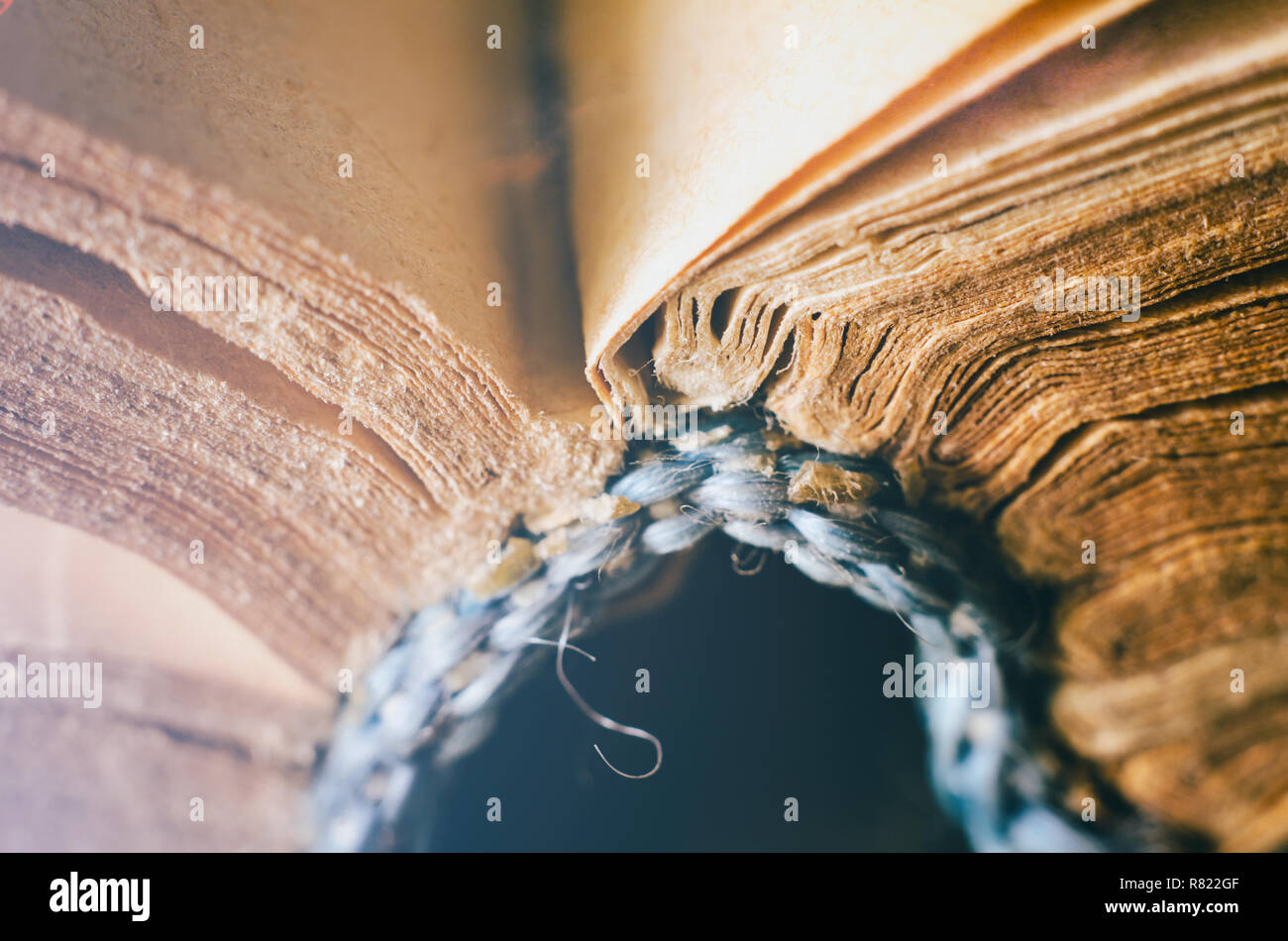 Macro library hi-res stock photography and images - Alamy
