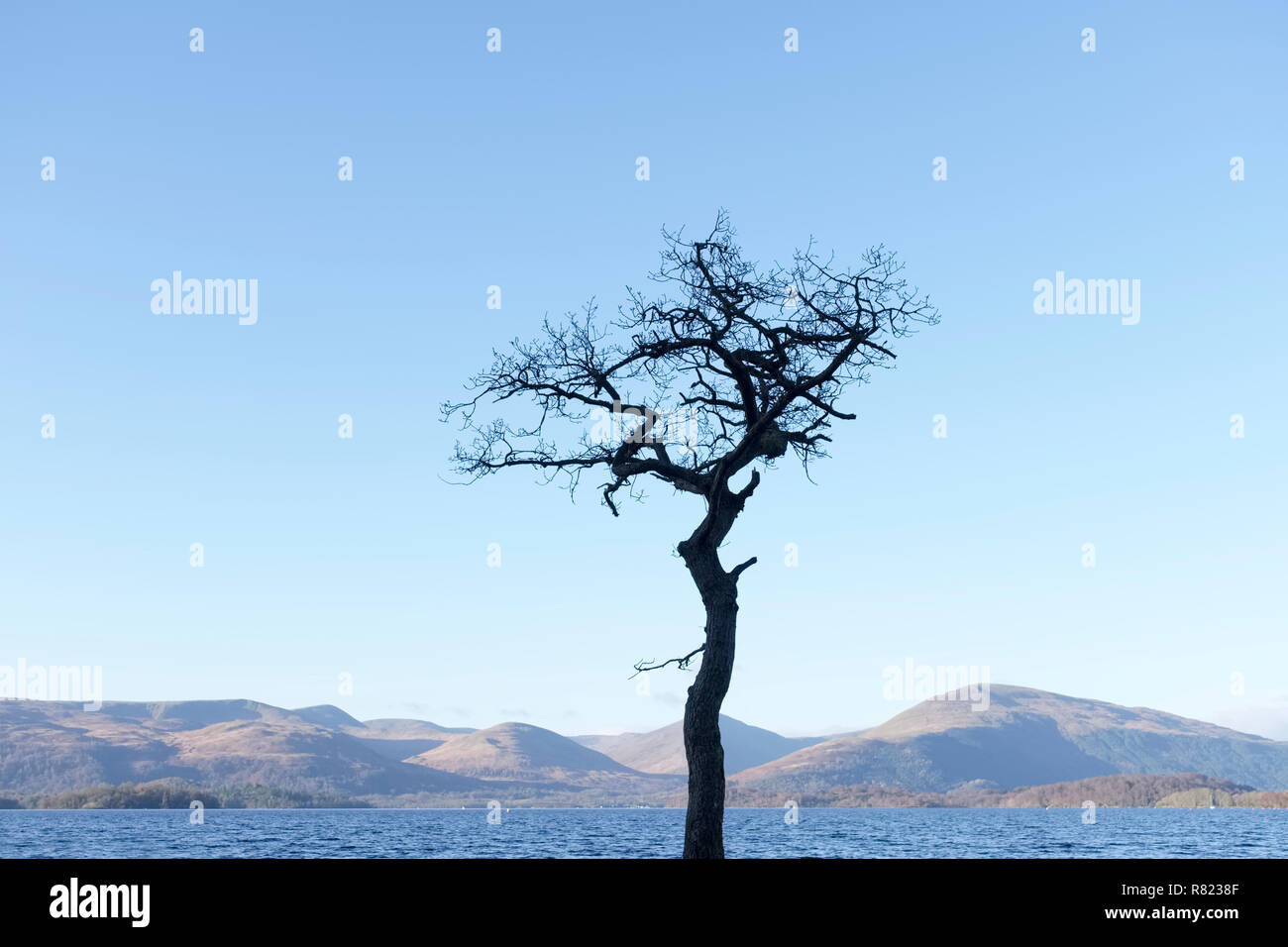 Milarrochy bay loch lomond scotland hi-res stock photography and images ...