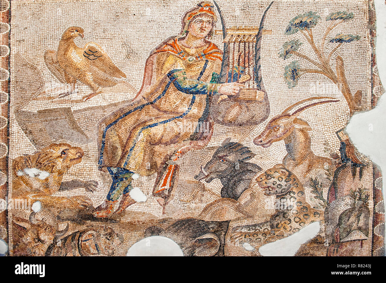 Orpheus playing a cithara surrounded by animals, Mosaic from Tarsus ...