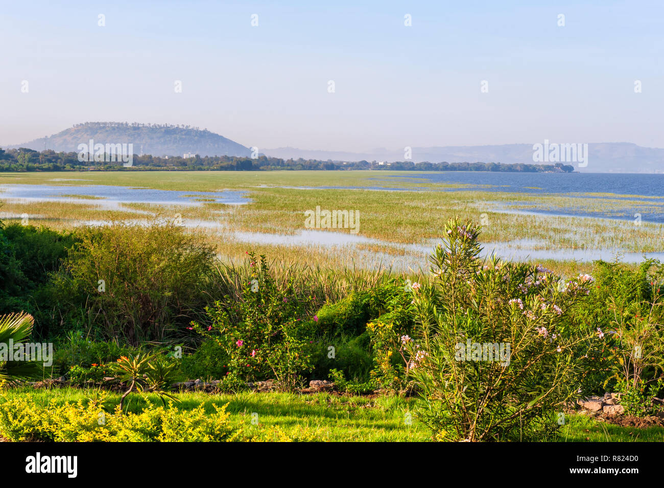 Awasa hi-res stock photography and images - Alamy