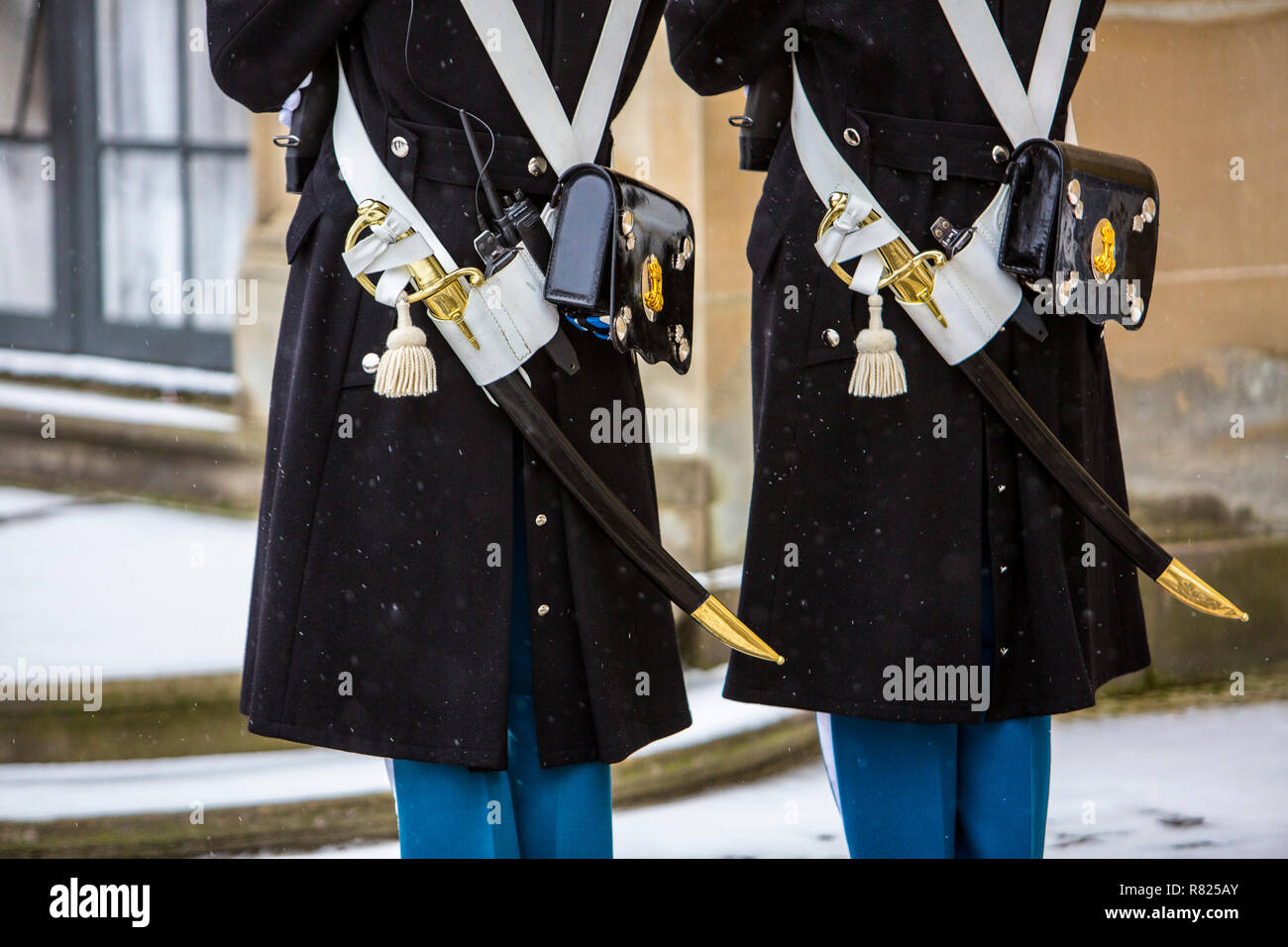 Bodyguards Stock Photos & Bodyguards Stock Images - Alamy