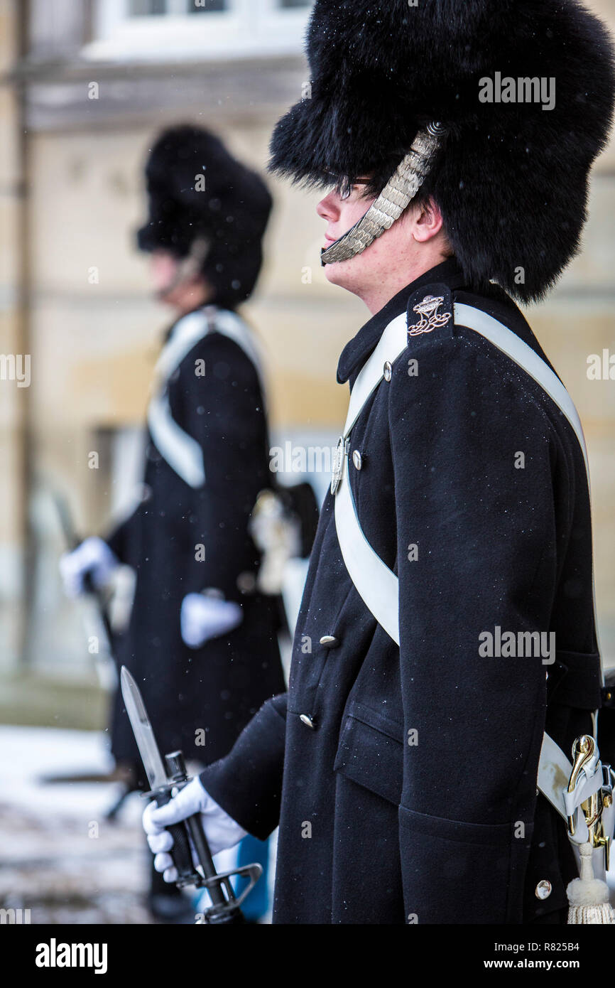 Changing of the guard, royal bodyguards, ceremony outside Amalienborg ...
