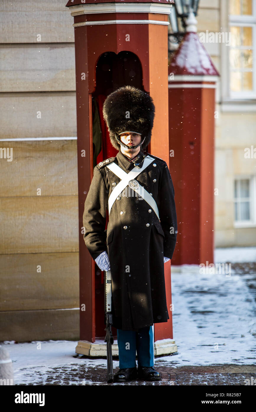 Changing of the guard, royal bodyguard, ceremony outside Amalienborg ...