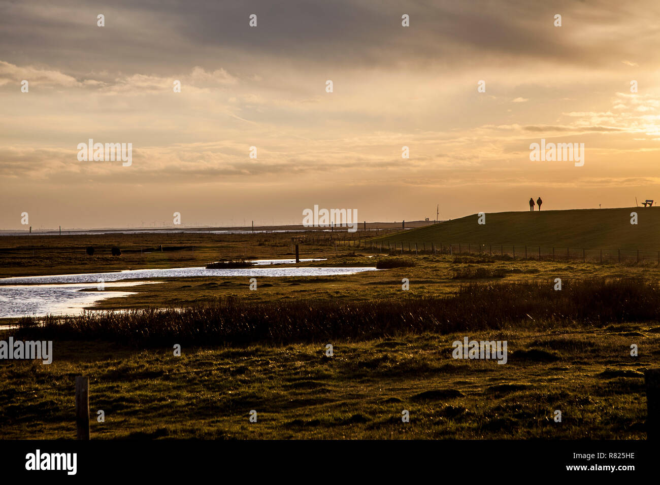 Dyke marsh hi-res stock photography and images - Alamy