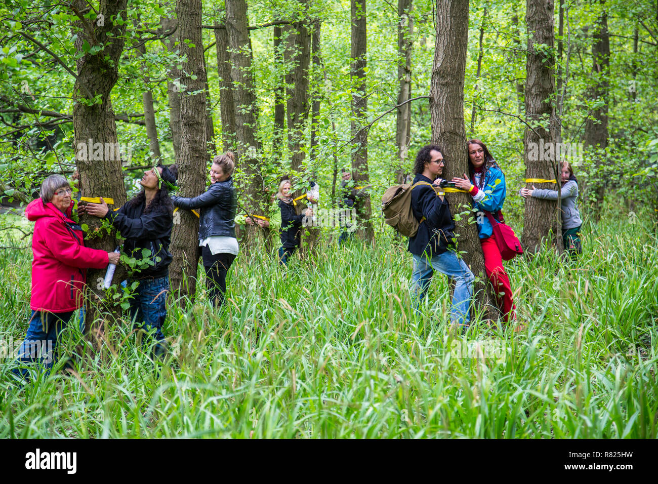 World record in tree hugging, initiative and record attempt of the WWF ...