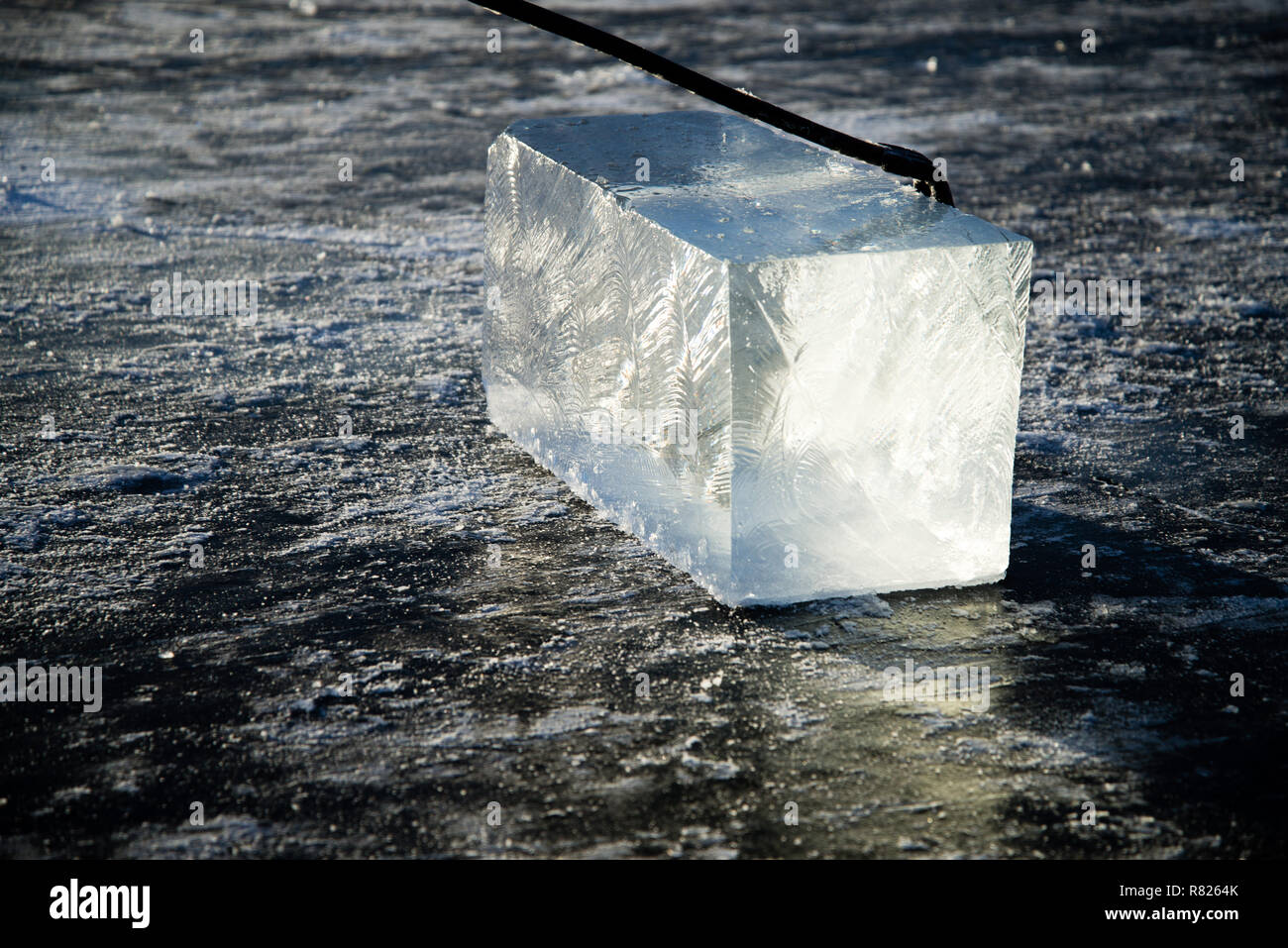 workers mine large cubes of natural river ice, hook hook on large cubes ...