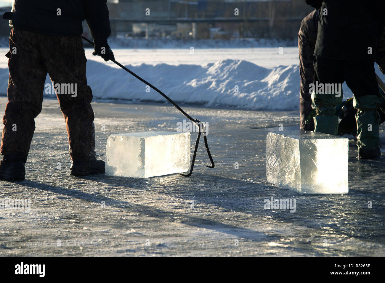 workers mine large cubes of natural river ice , harvesting river ice ...