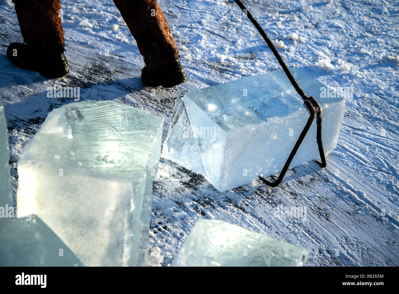 workers mine large cubes of natural river iceworkers mine large cubes ...