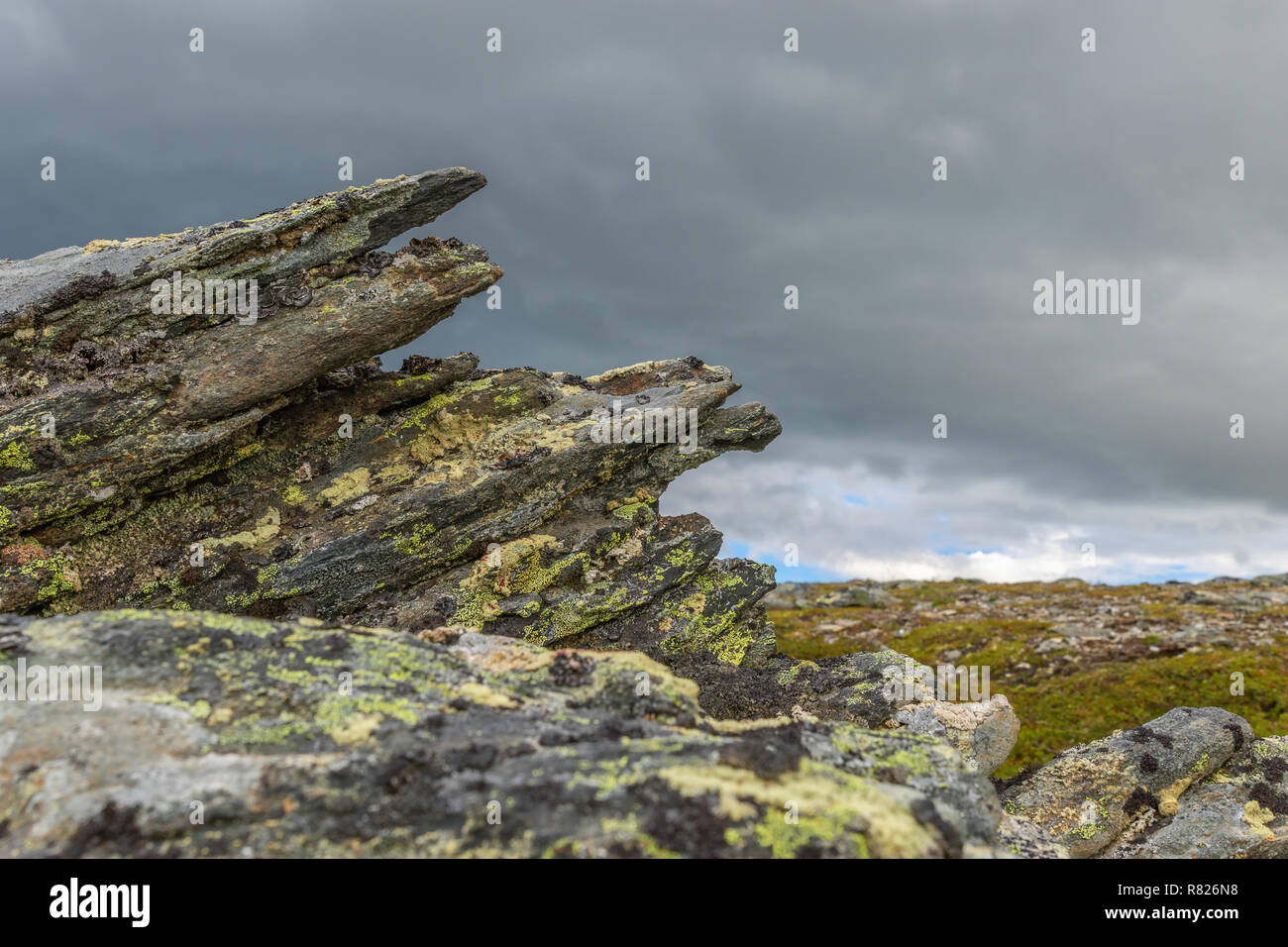 Pointy rock formations with lichens Stock Photo - Alamy