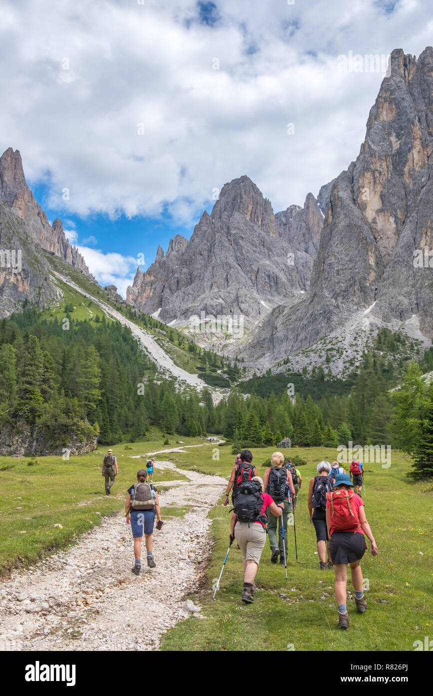 People are walking on a hiking trail to the mountains in a beautiful ...