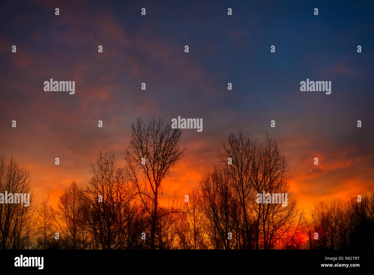 Beautiful misty sunrise landscape cold hi-res stock photography and ...