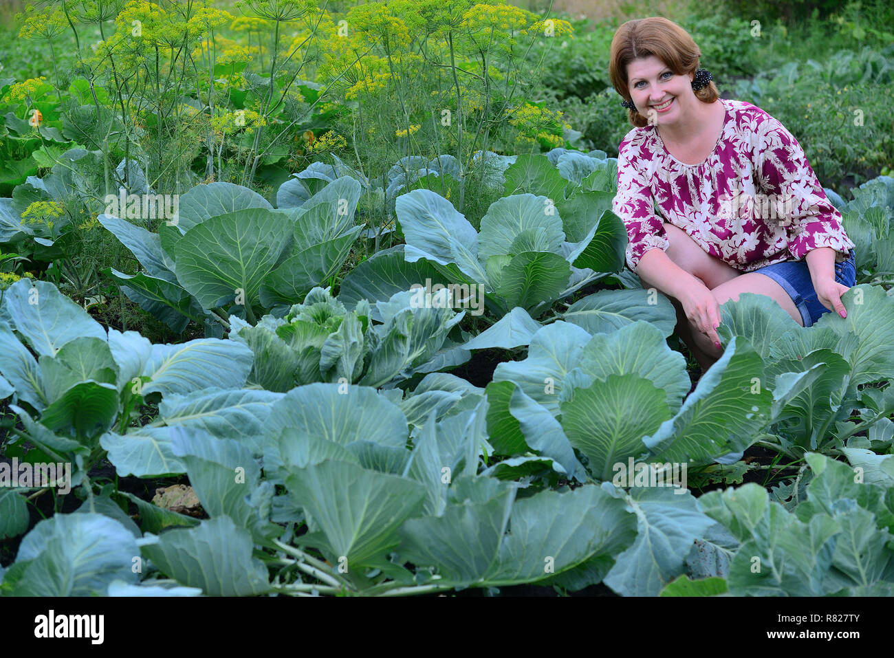 Cabbage woman hi-res stock photography and images - Alamy