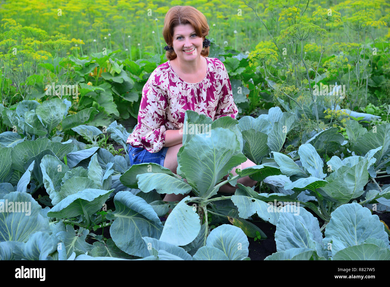 Cabbage woman hi-res stock photography and images - Alamy