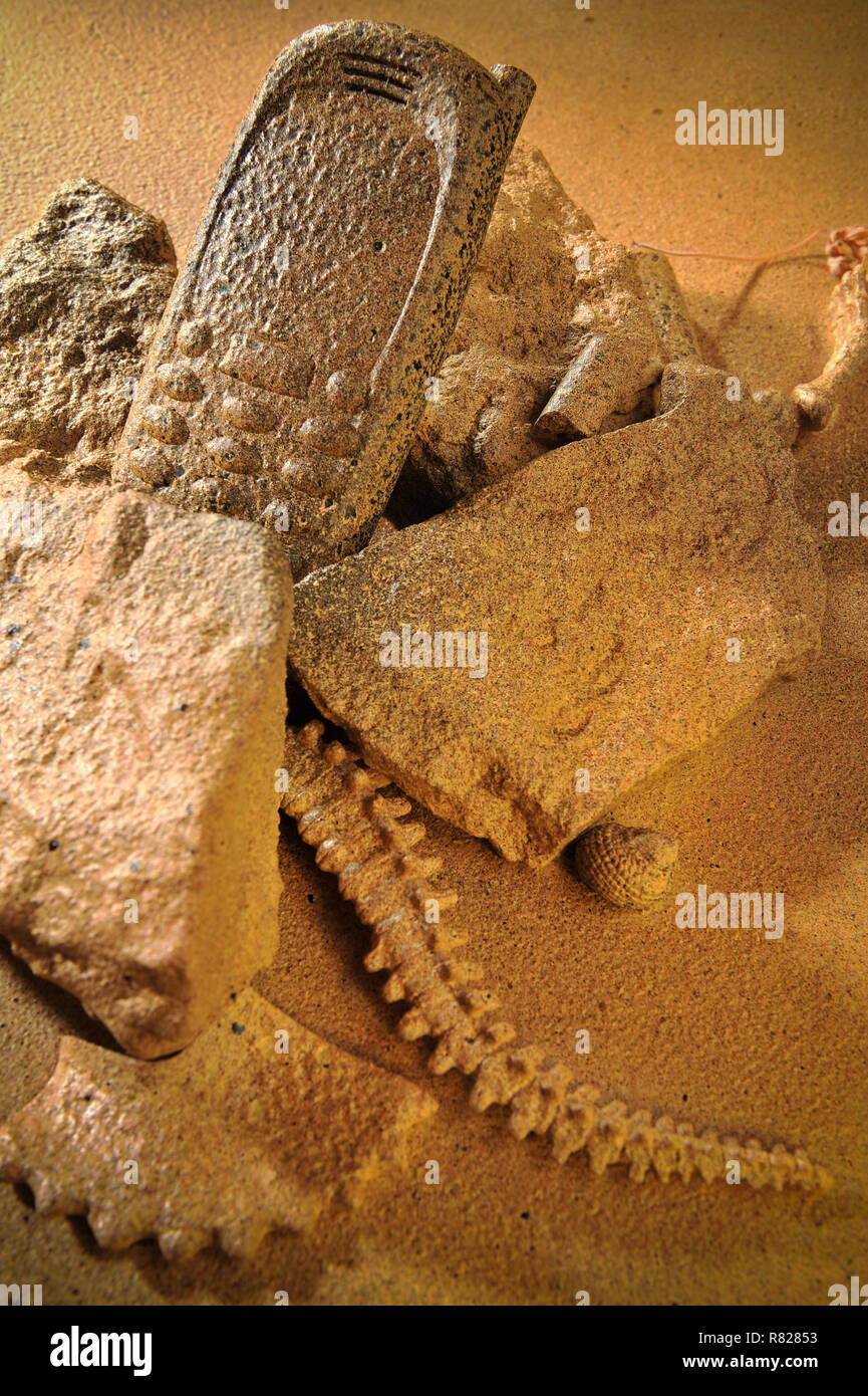 Body fossils hi-res stock photography and images - Alamy