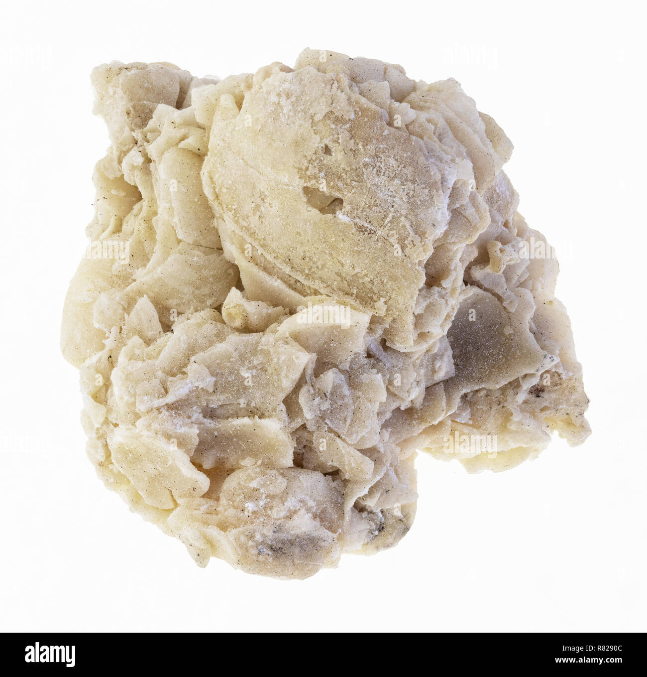 White Shell Limestone Rock High Resolution Stock Photography and Images ...