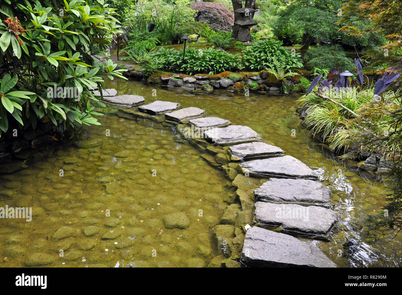 Japanese garden pond with stone path Stock Photo - Alamy