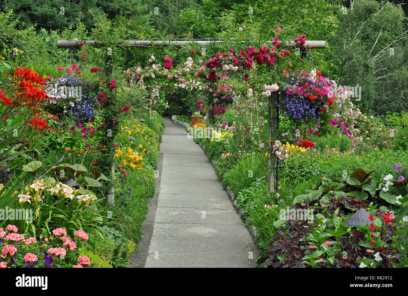 Garden path in beautiful summer garden Stock Photo - Alamy