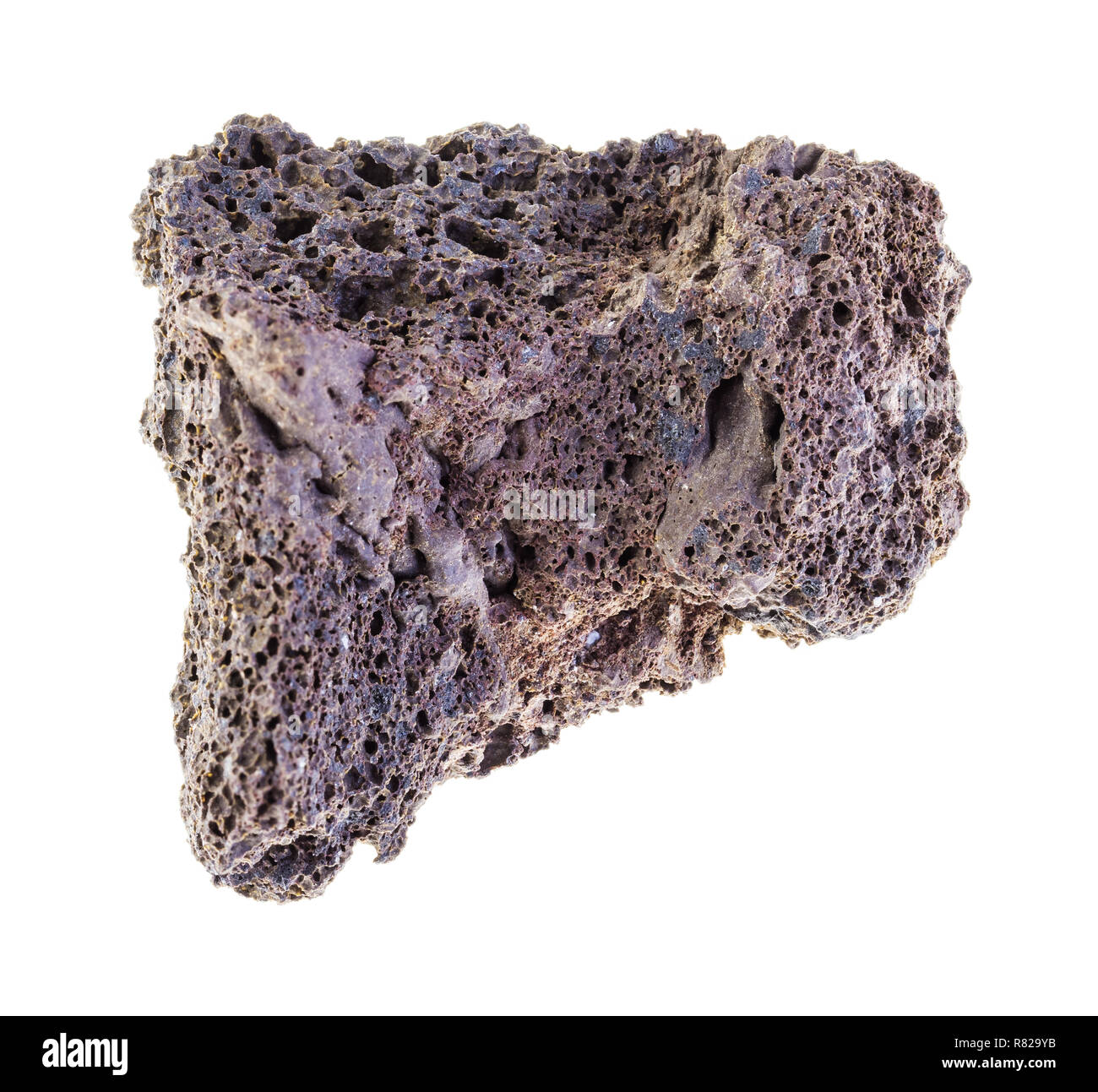 Igneous Rocks Pumice