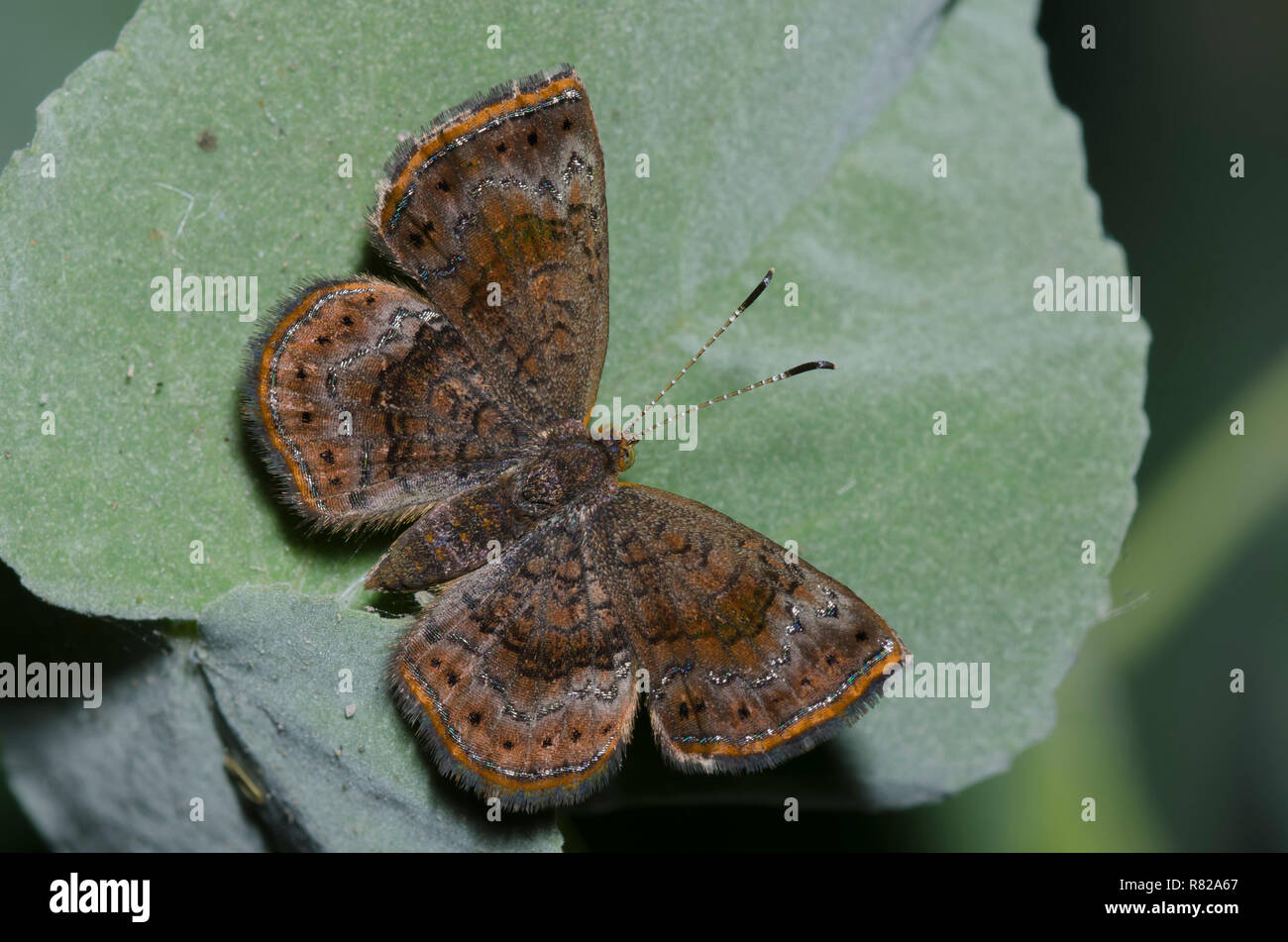 U rounded hi-res stock photography and images - Alamy