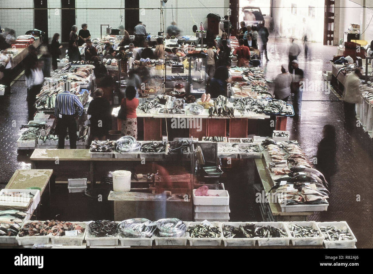 The fish Market, Caldas da Rainha, province of Estremadura, district of ...