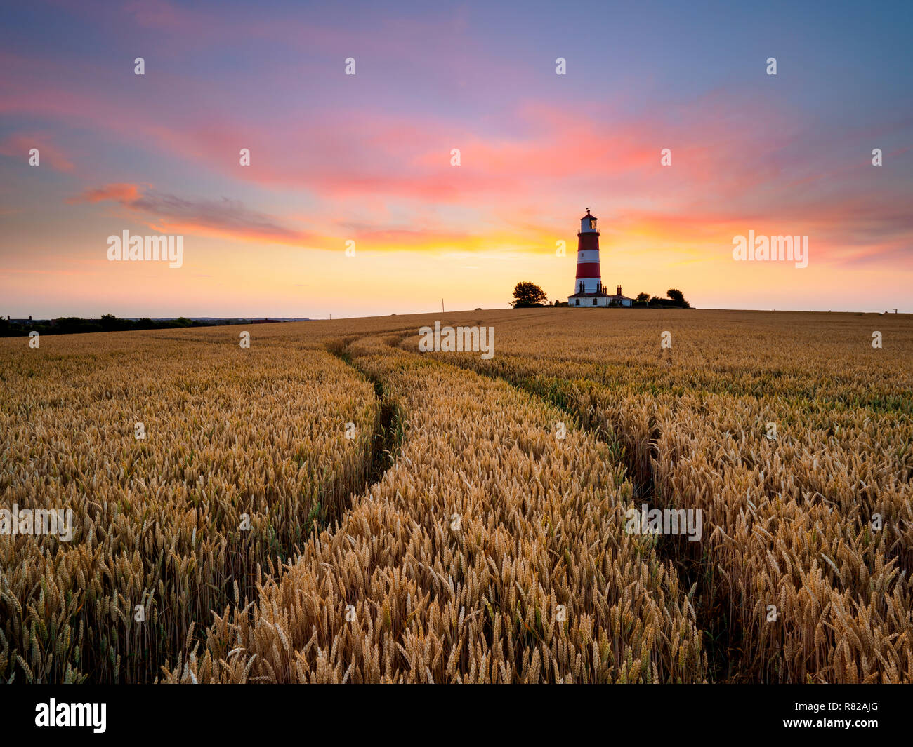 Track through a wheat field hi-res stock photography and images - Alamy