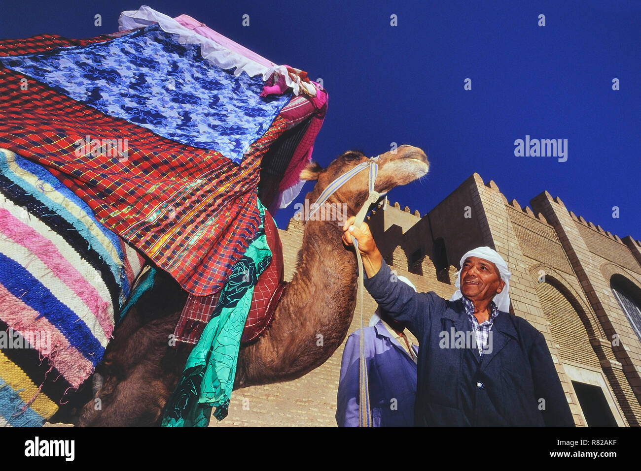A camel handler outside the Great Mosque at Kairouan. Tunisia. North ...