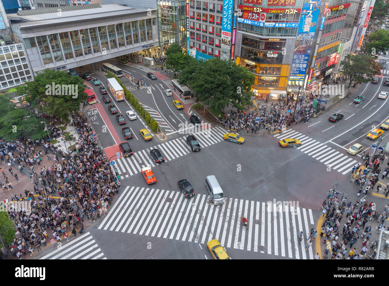 Pedestrians crosswalk at Shibuya district in Tokyo, Japan. Shibuya ...