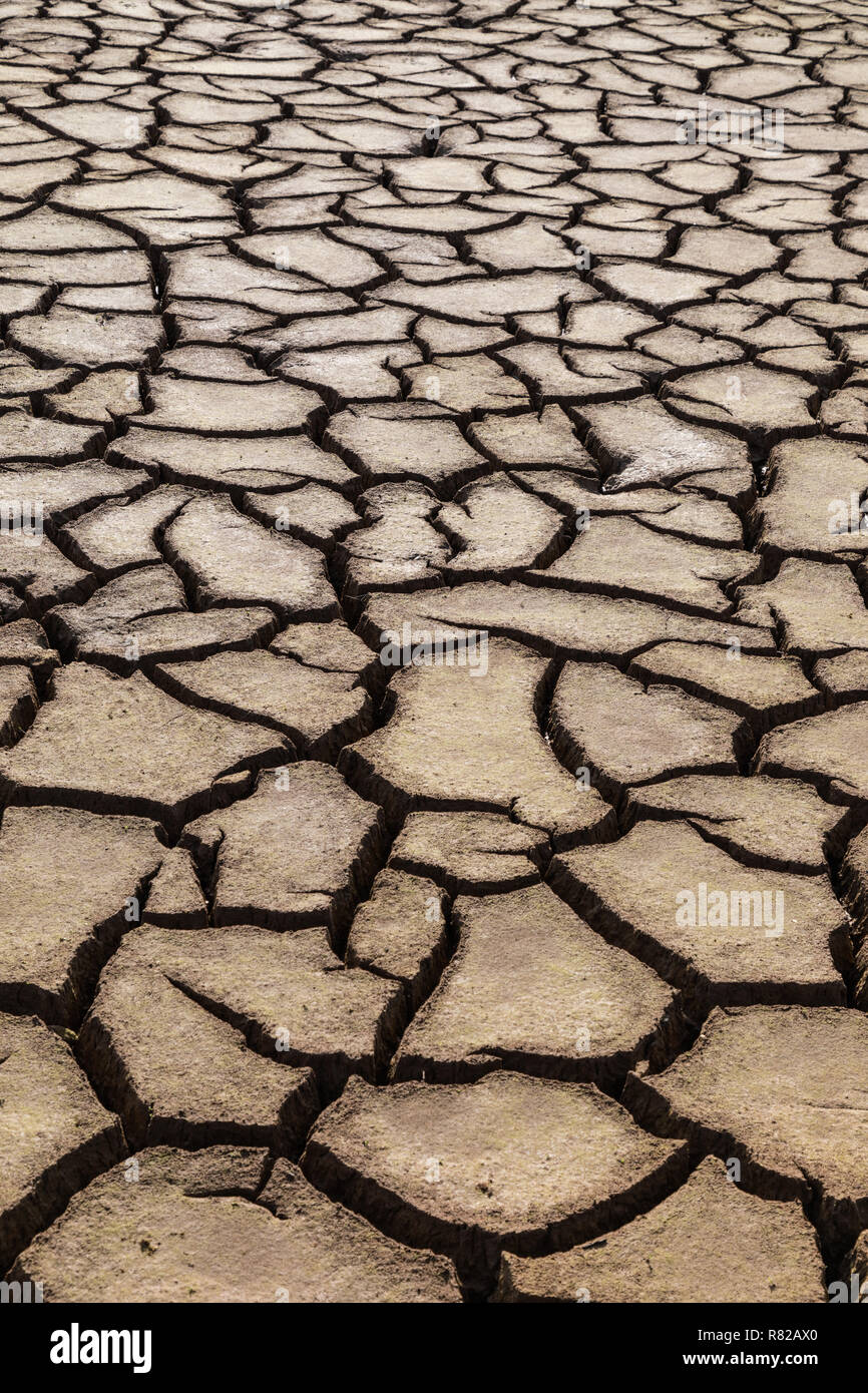 Cracks in the empty lake bed, Alder Lake, Elbe, Washington Stock Photo ...