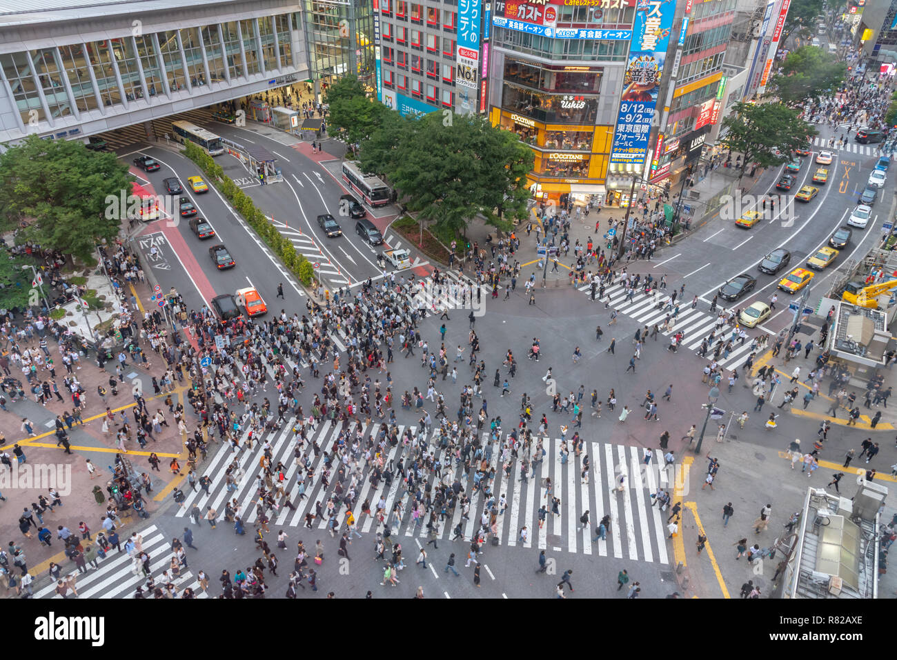 Pedestrians crosswalk at Shibuya district in Tokyo, Japan. Shibuya ...
