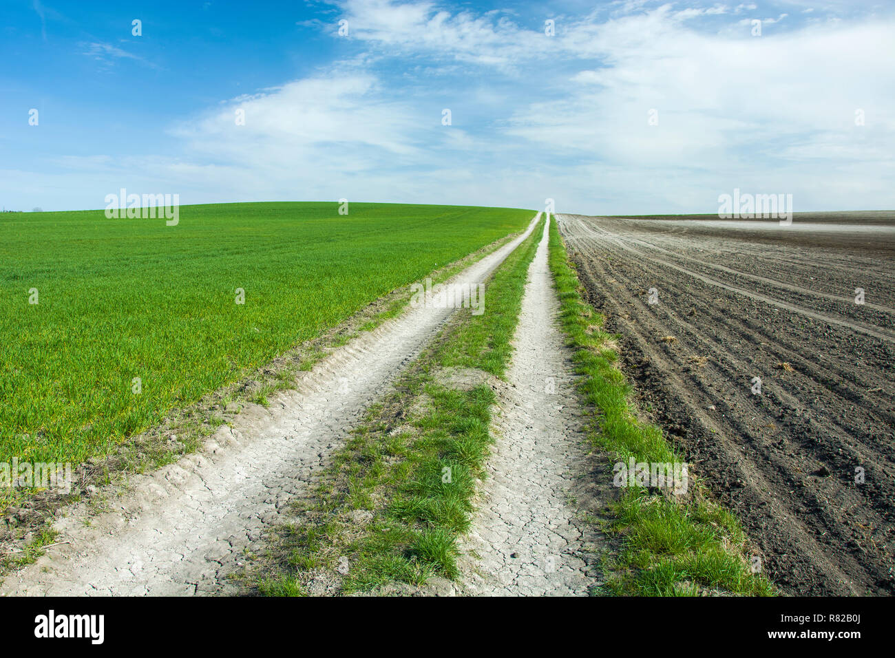 Road through fields towards the horizon and clouds on the sky Stock ...