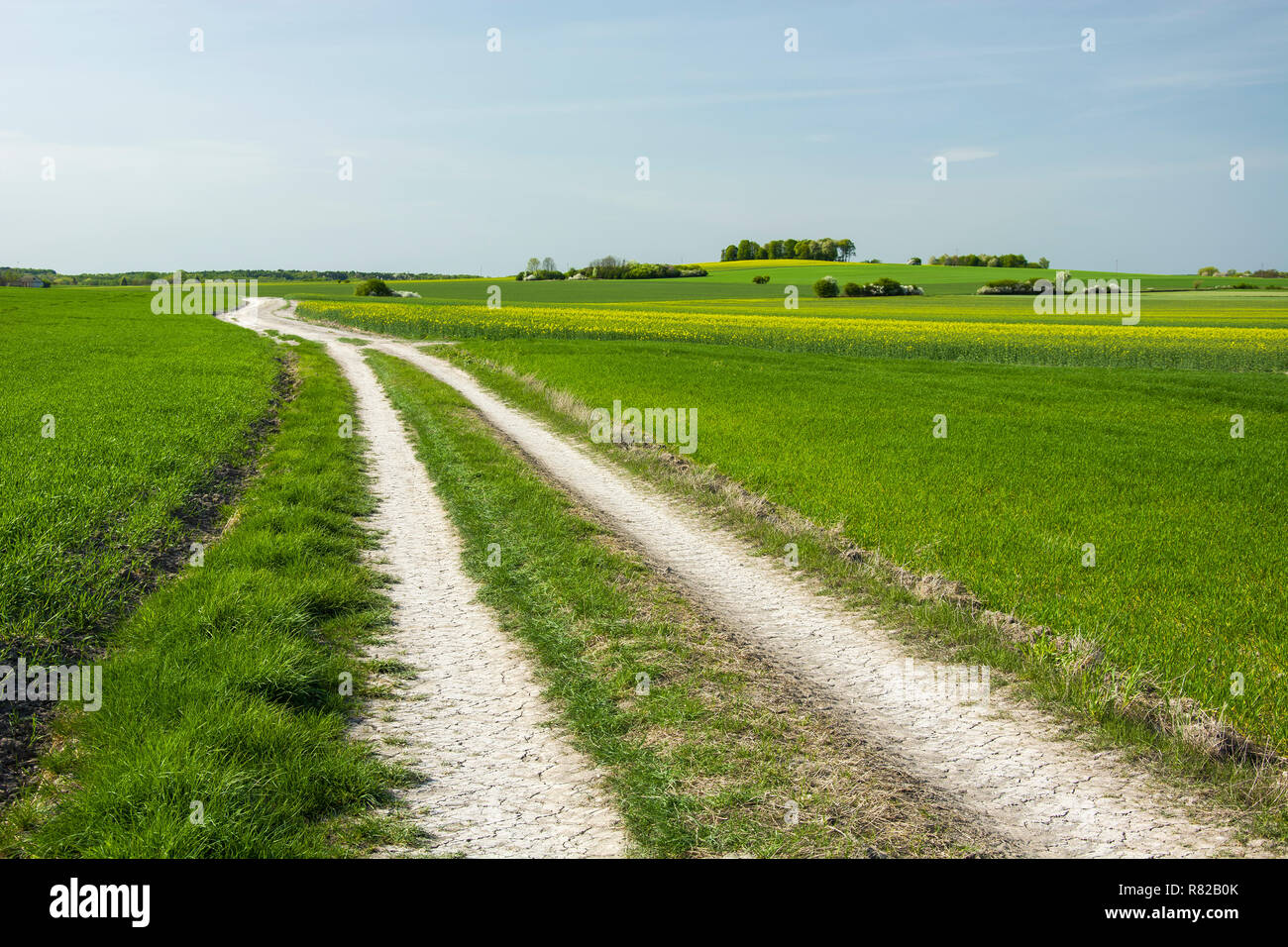 Long green yellow grass hi-res stock photography and images - Alamy