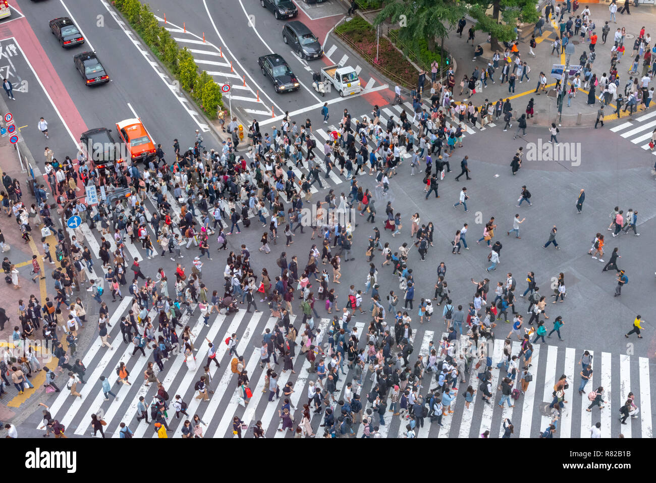 Pedestrians crosswalk at Shibuya district in Tokyo, Japan. Shibuya ...