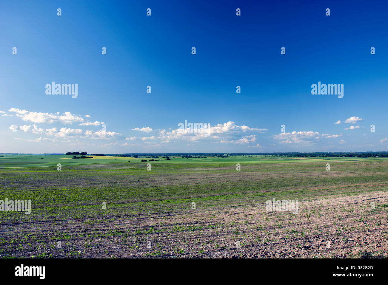View of a huge field, horizon and sky Stock Photo - Alamy