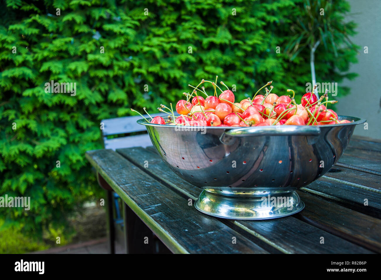 Red shiny fruits hi-res stock photography and images - Alamy