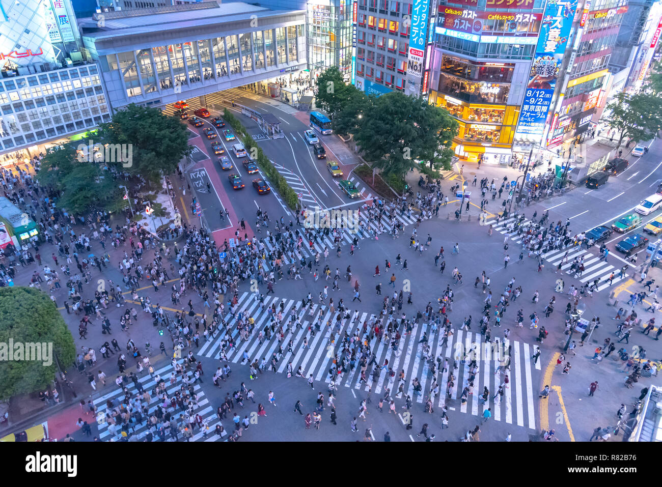 Pedestrians crosswalk at Shibuya district in Tokyo, Japan. Shibuya ...