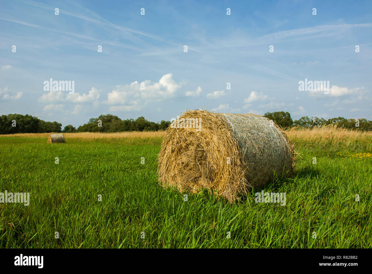Round hay bale hi-res stock photography and images - Alamy