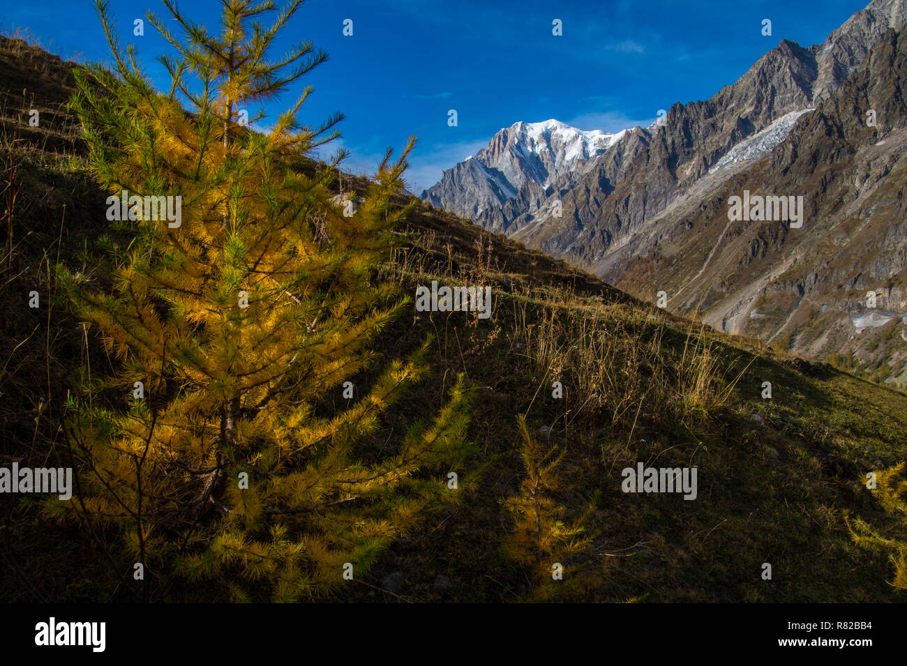Refuge Bonatti High Resolution Stock Photography and Images - Alamy