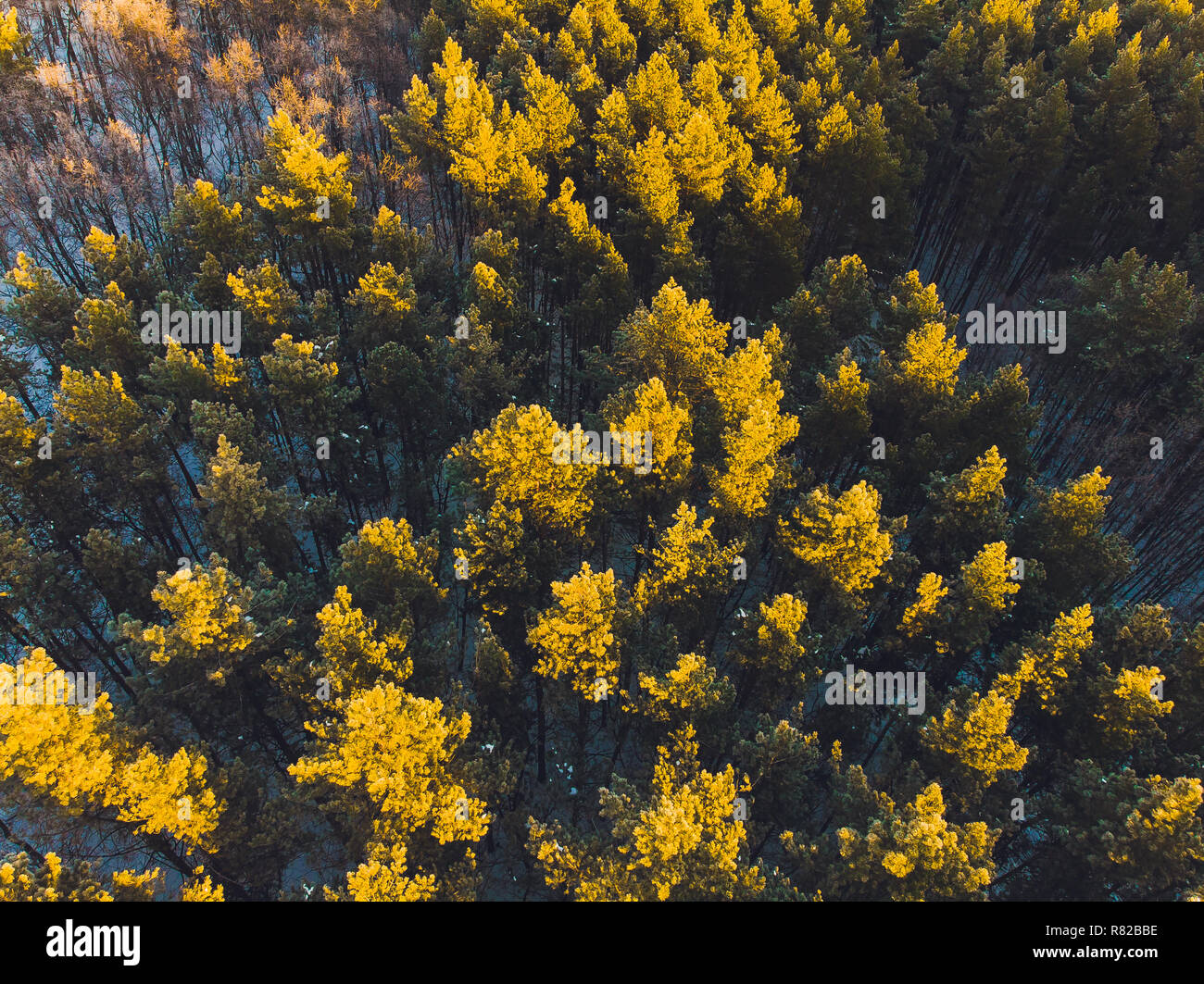 Summer woodland flying over top hi-res stock photography and images - Alamy