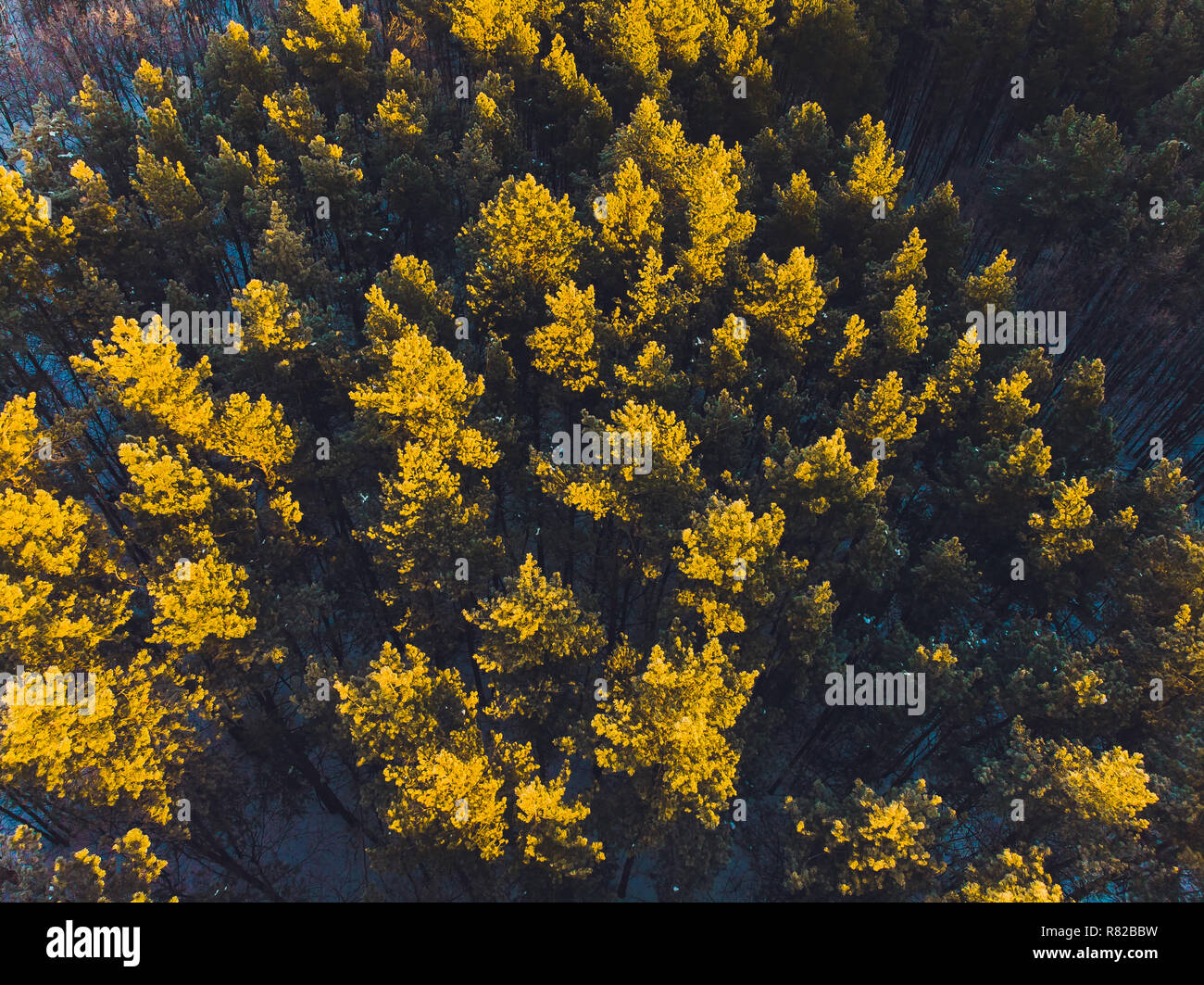 Summer woodland flying over top hi-res stock photography and images - Alamy