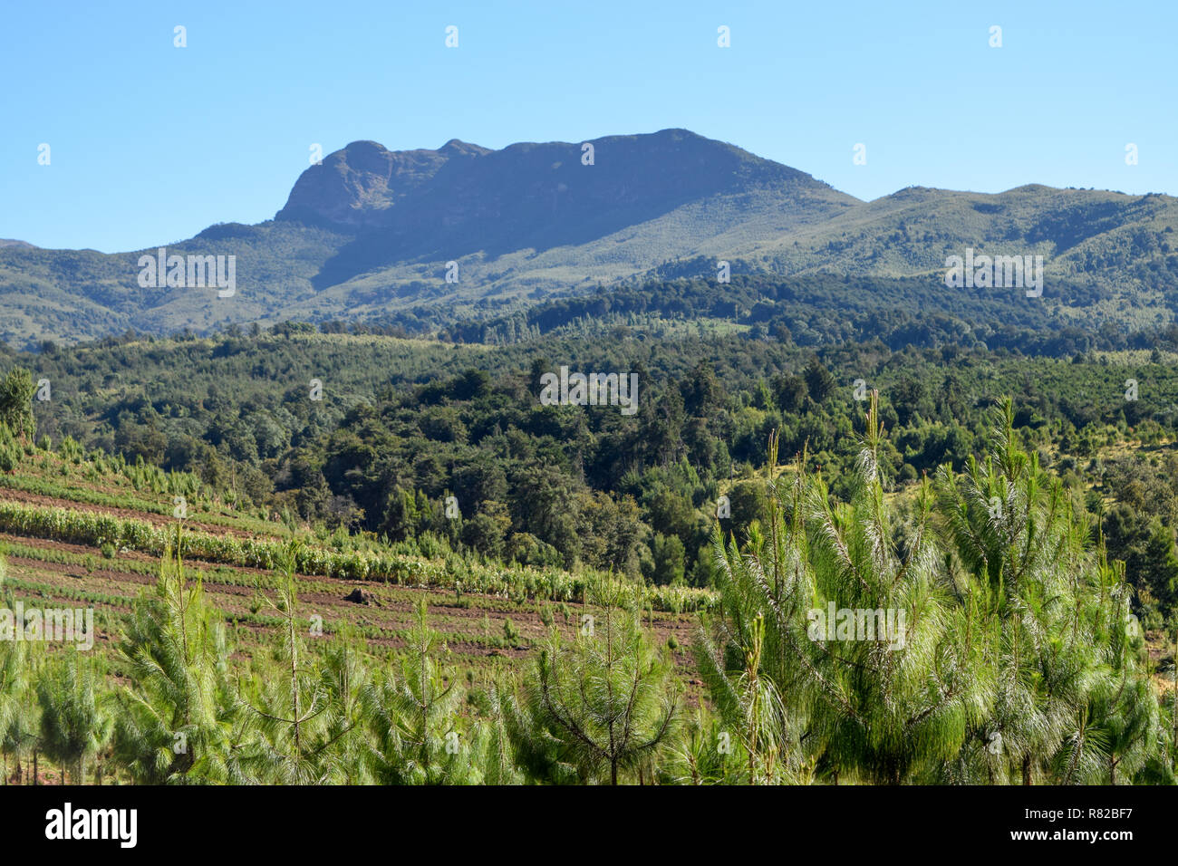 Mountain against a clear sky, Elephant Hill, Aberdare Ranges, KENYA ...