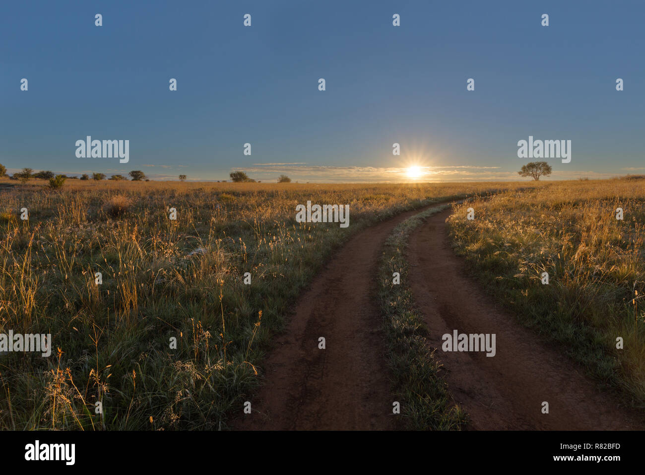 Free State road to sunrise Stock Photo - Alamy