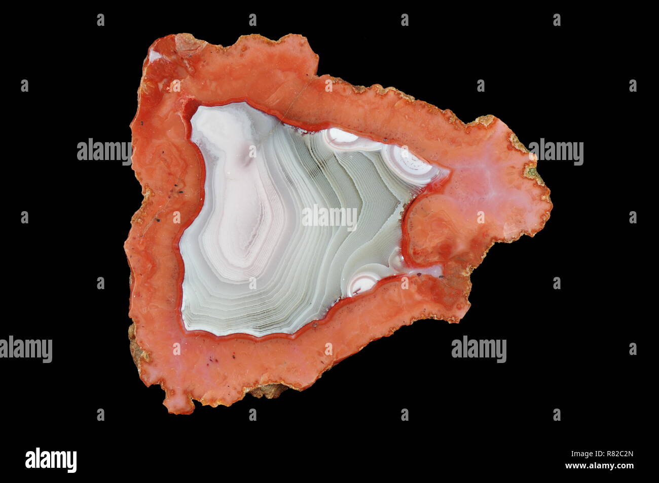 A cross-section of agate. A snow-white chalcedony is interwoven with ...