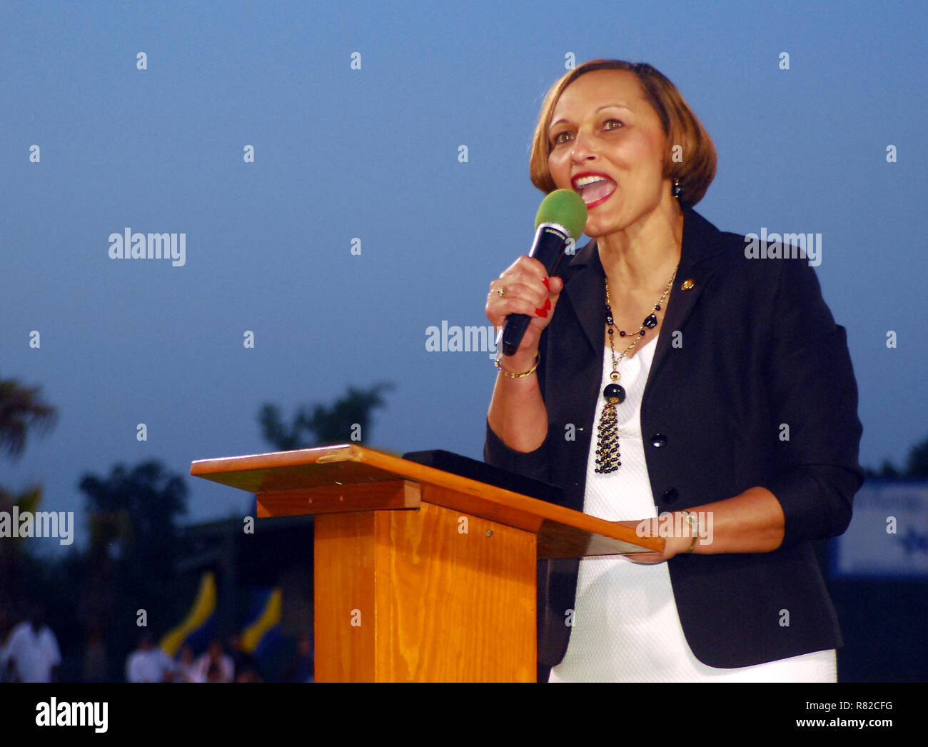 Senator Vivian Davis Figures speaks during the dedication of the Hank ...