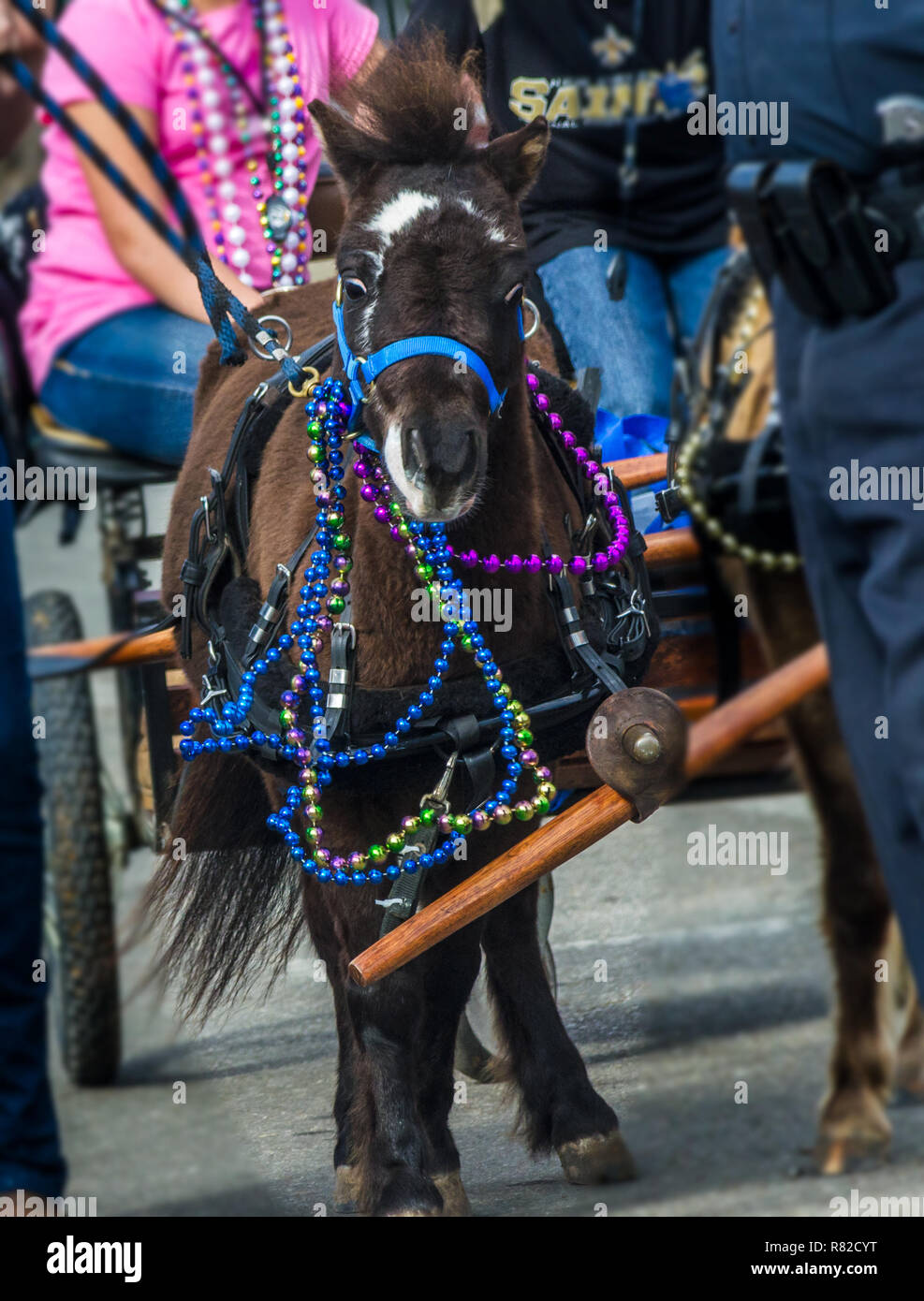 A pony waits on Washington Street in downtown Mobile, Alabama, during ...