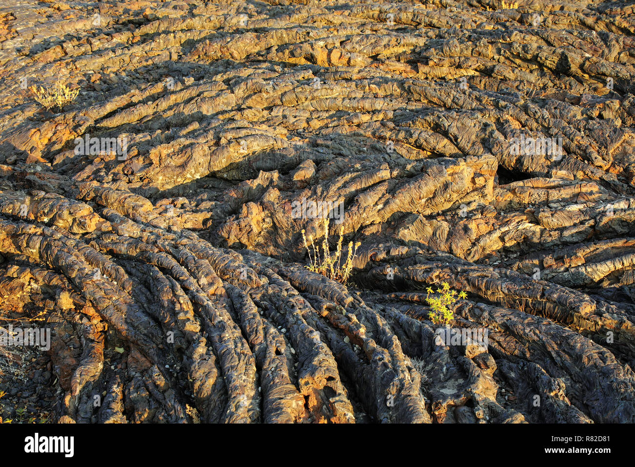 Lava flow field at North Crater Flow Trail, Craters of the Moon ...