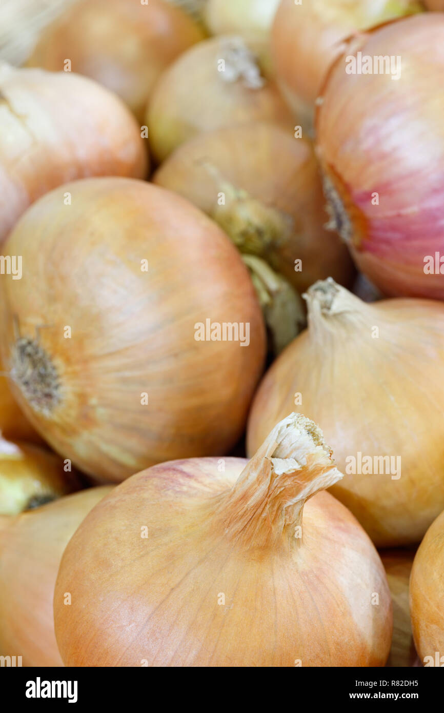 Yellow onion close-up background Stock Photo - Alamy