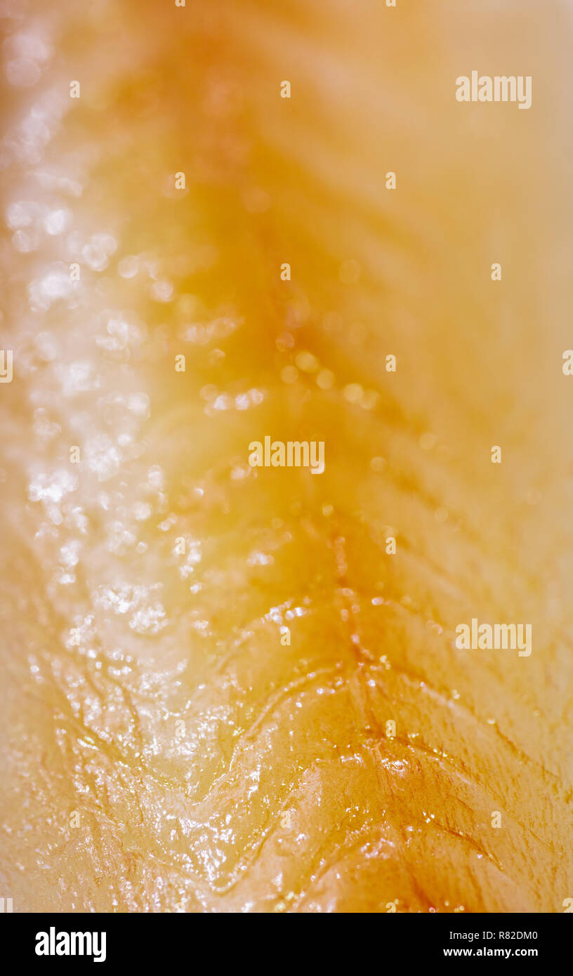 Fish fillets closeup texture background Stock Photo - Alamy