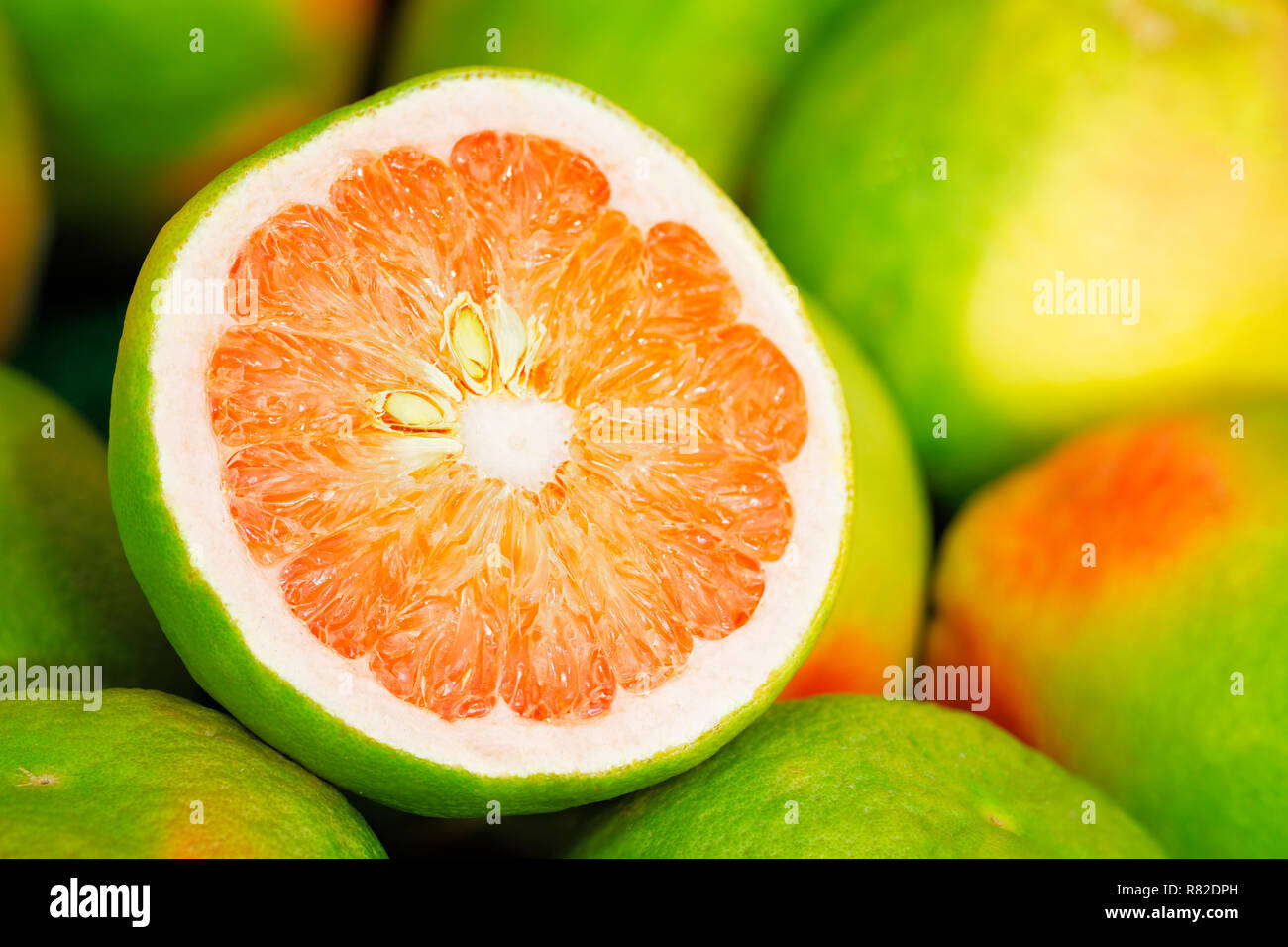 Kabosu hi-res stock photography and images - Alamy