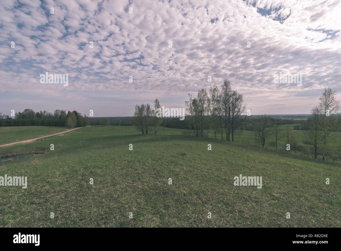 plain simple countryside spring landscape with fresh green meadows and ...