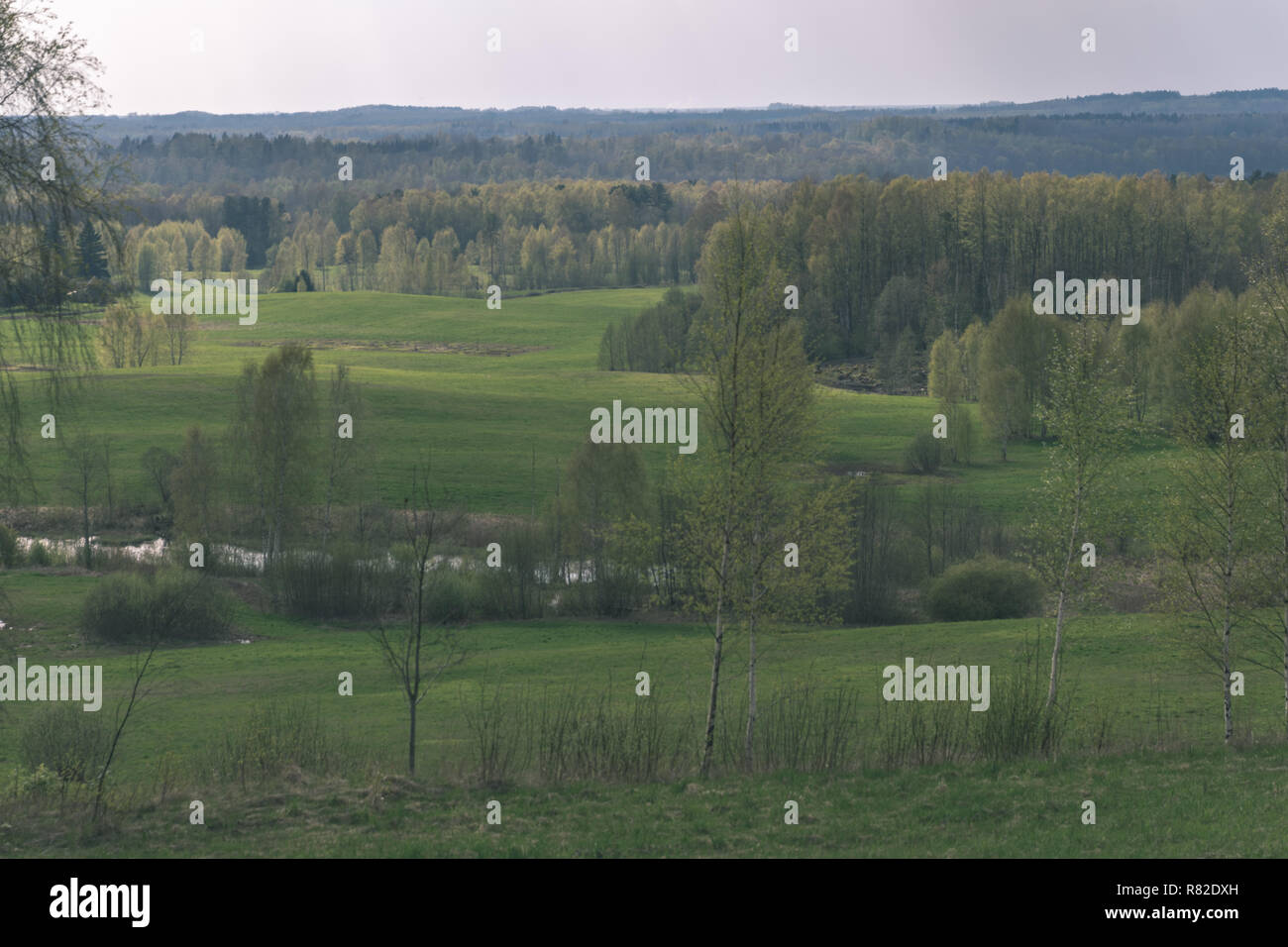 plain simple countryside spring landscape with fresh green meadows and ...